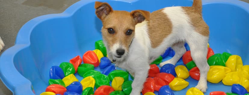 Attractions in Akebar | Welcome to Yorkshire