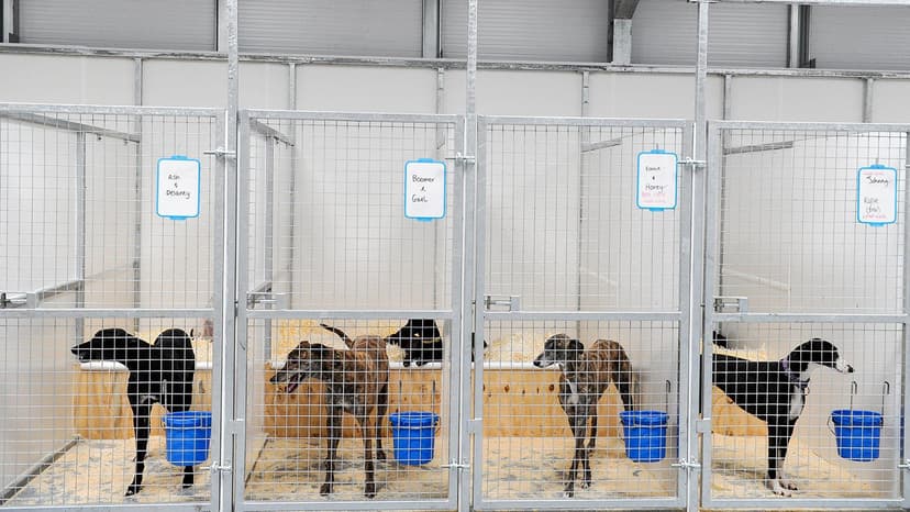 Attractions in Austerfield | Welcome to Yorkshire