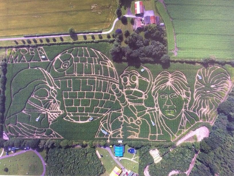 York Maze - Visitor Guide & Prices - An Attraction In York | Yorkshire.com