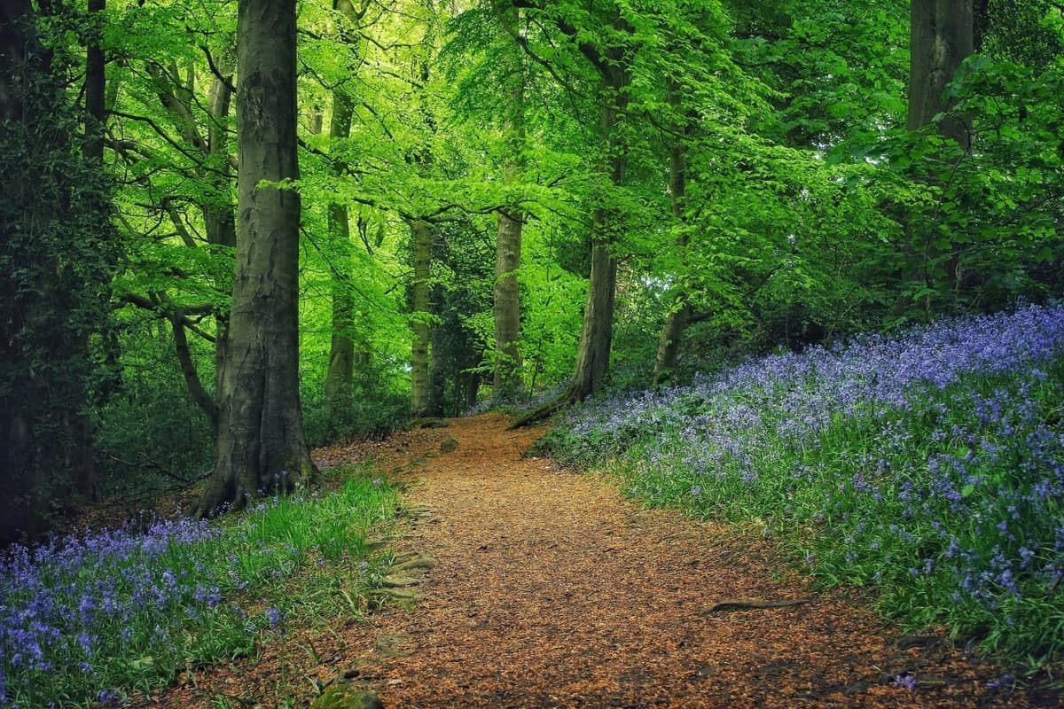 Visit Denby dale: The Expert Village Guide to Things to Do, Stay & Eat