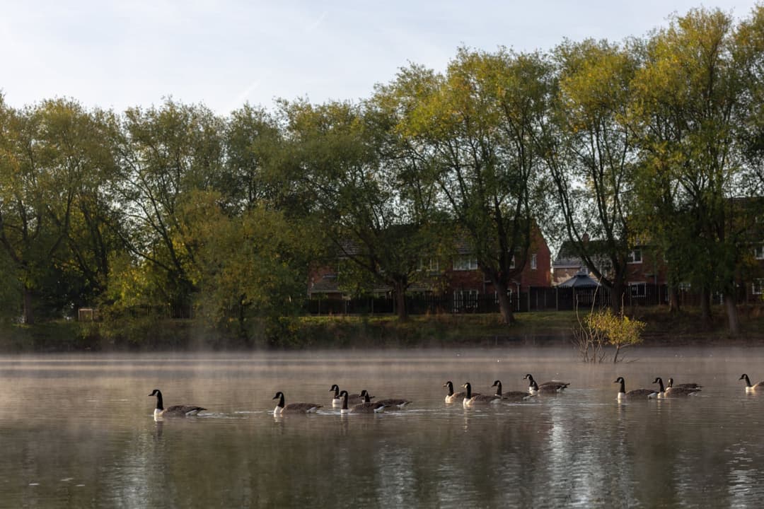 Visit Goldthorpe: The Expert Village Guide to Things to Do, Stay & Eat
