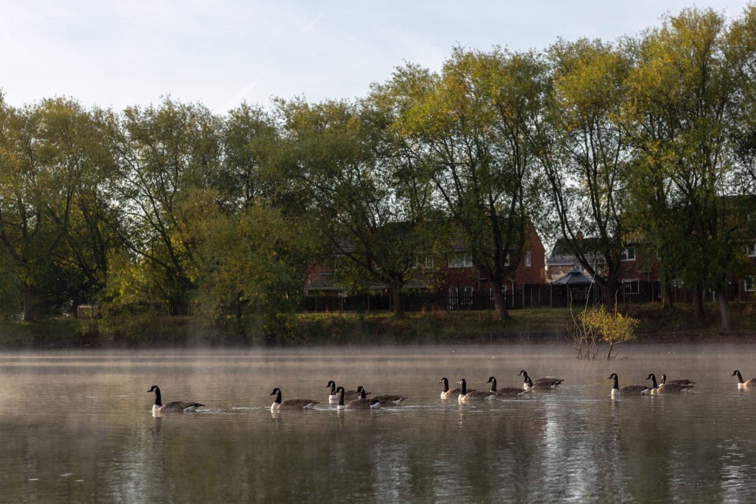 Visit Goldthorpe: The Expert Village Guide to Things to Do, Stay & Eat