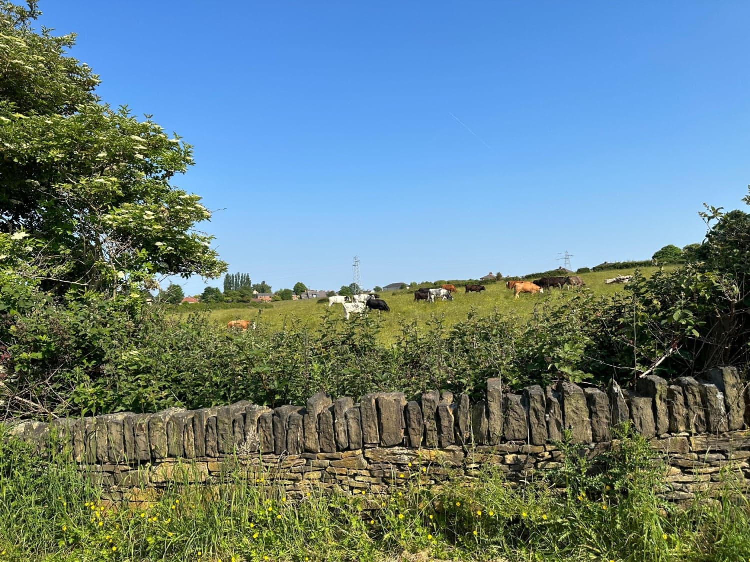 Visit Liversedge: The Expert Village Guide to Things to Do, Stay & Eat