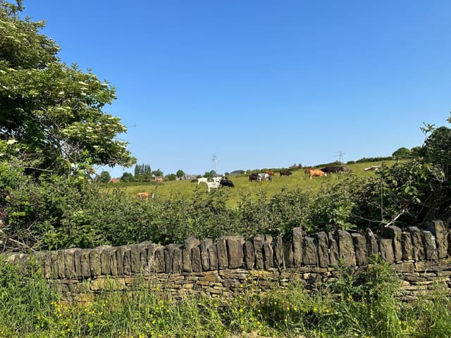 Visit Liversedge: The Expert Village Guide to Things to Do, Stay & Eat