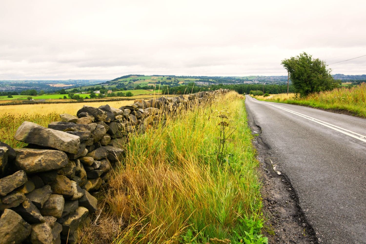 Visit Menston: The Expert Village Guide to Things to Do, Stay & Eat