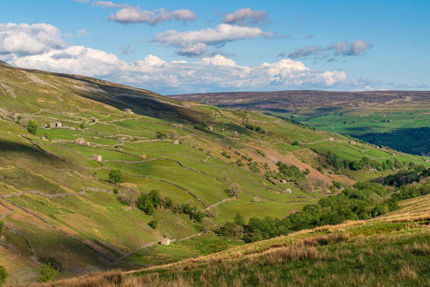 Visit Swaledale: The Expert Travel Guide to Things to Do, Stay & Eat