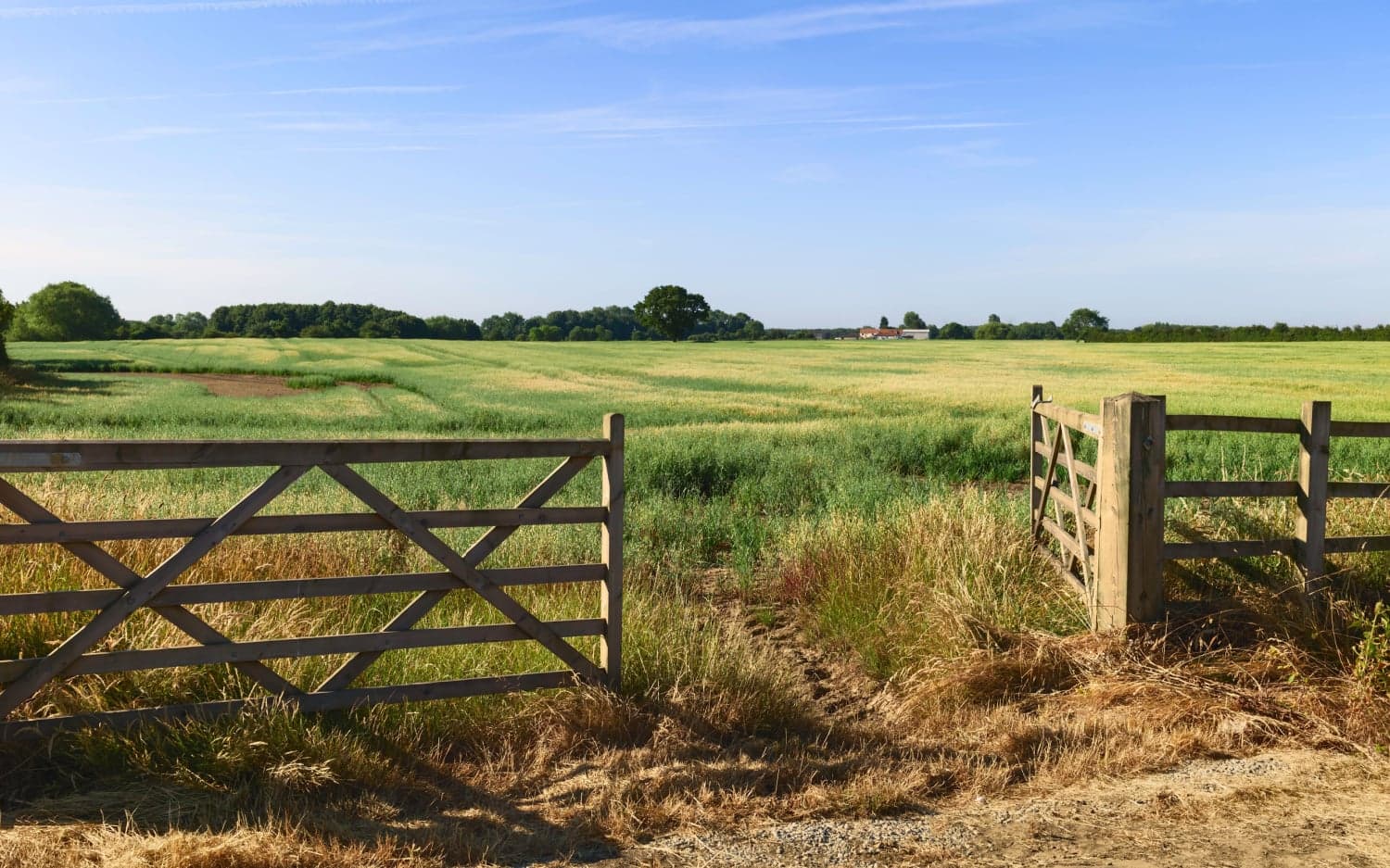Visit Walkington: The Expert Village Guide to Things to Do, Stay & Eat