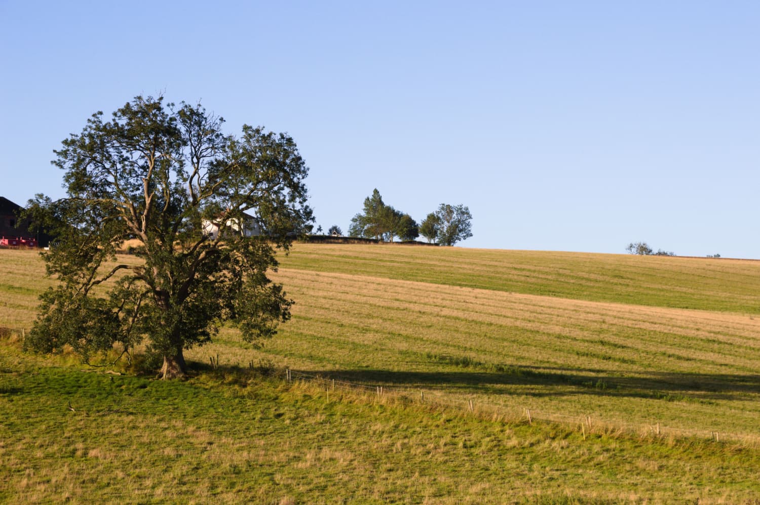 Visit Wold newton: The Definitive Village Guide to Things to Do, Stay & Eat