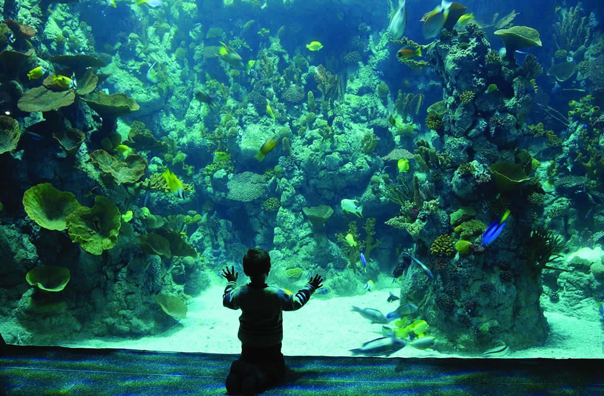 Places to visit in Yorkshire - Welcome to Yorkshire